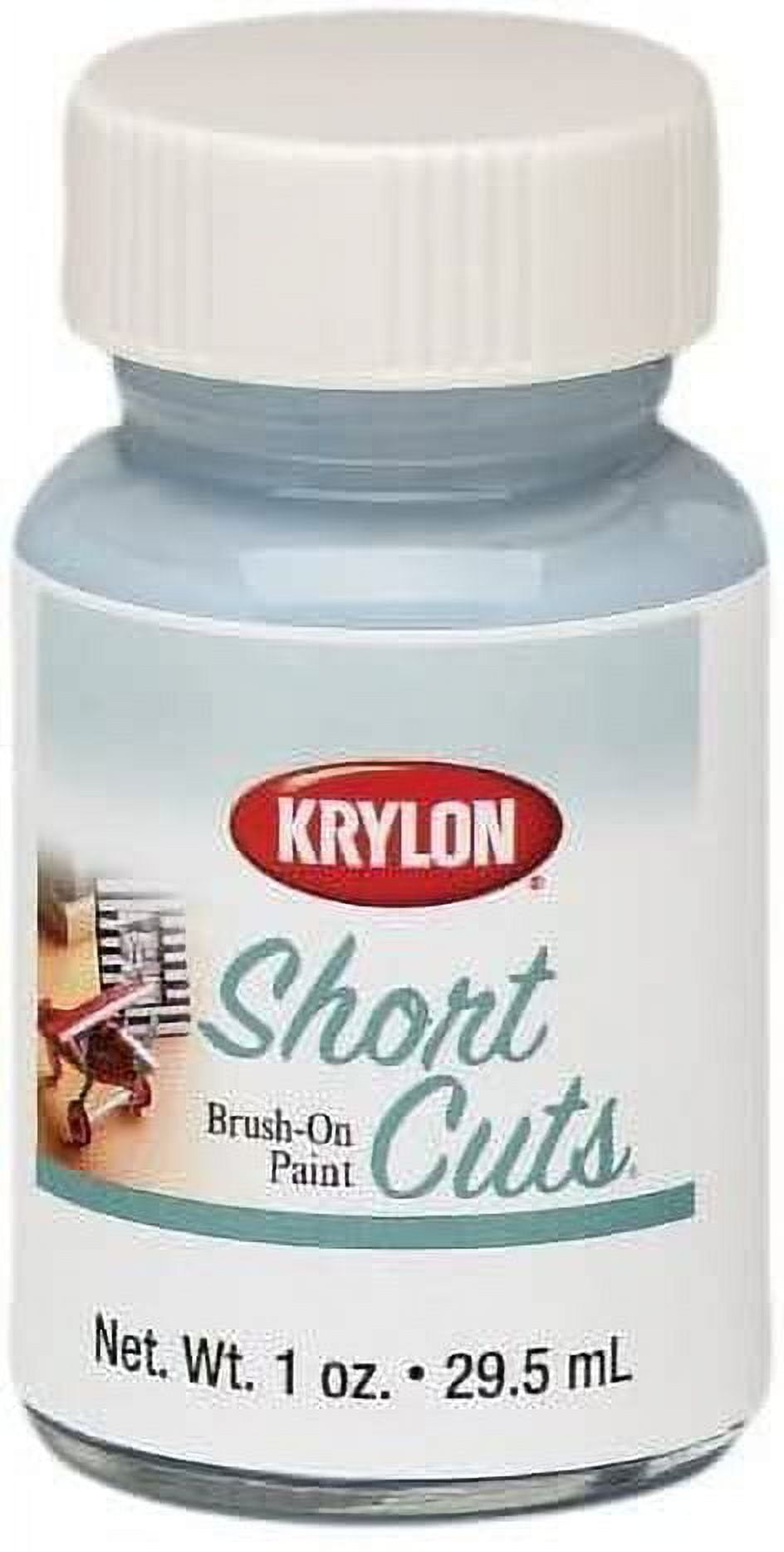 Krylon KSCB004 Short Cuts Brush-On Paint, 1-Ounce, Chrome by Krylon ...
