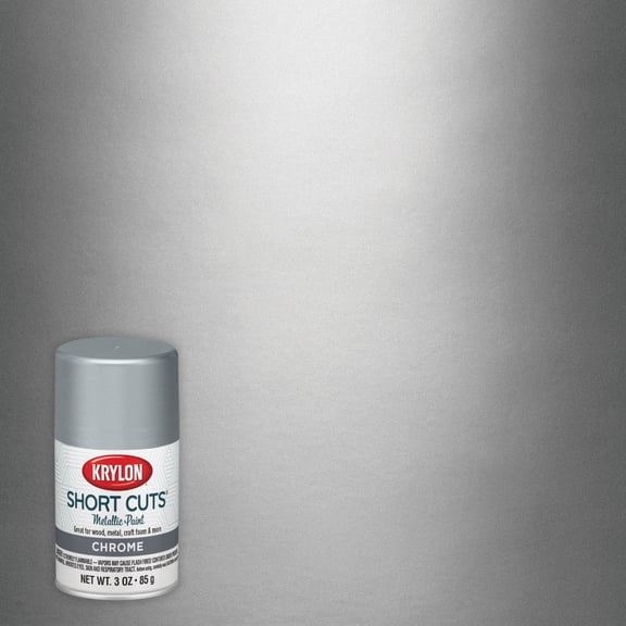 Chrome Paint Krylon