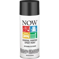 Now Spray Paint
