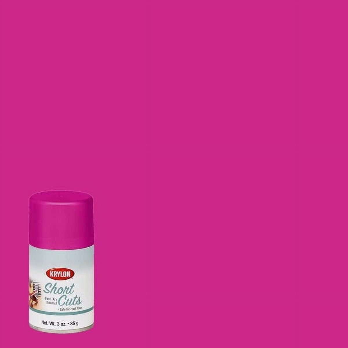 Krylon Short Cuts Gloss Hot Pink Spray Paint 3 oz. (Pack of 6 ...