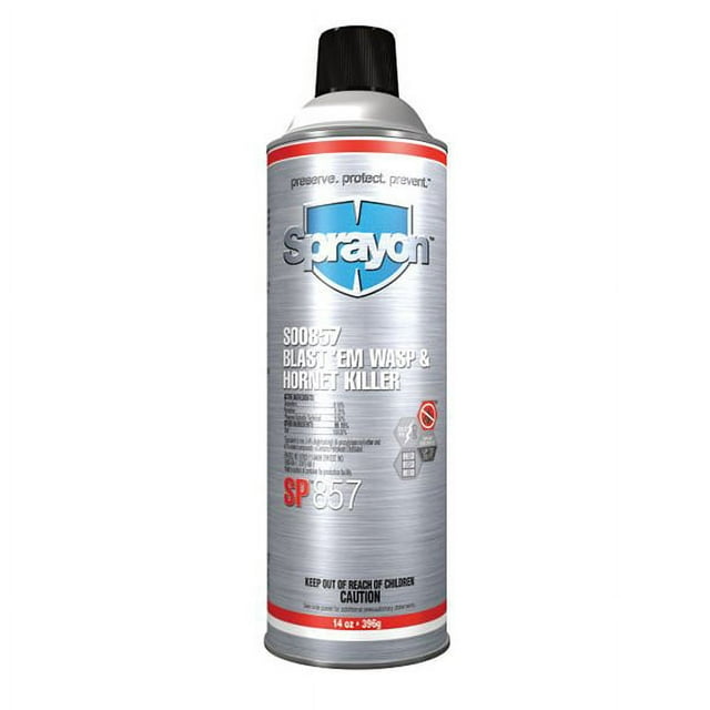 Krylon® Sprayon® Blast'Em™ SP857 Wasp & Hornet Killer - Walmart.com
