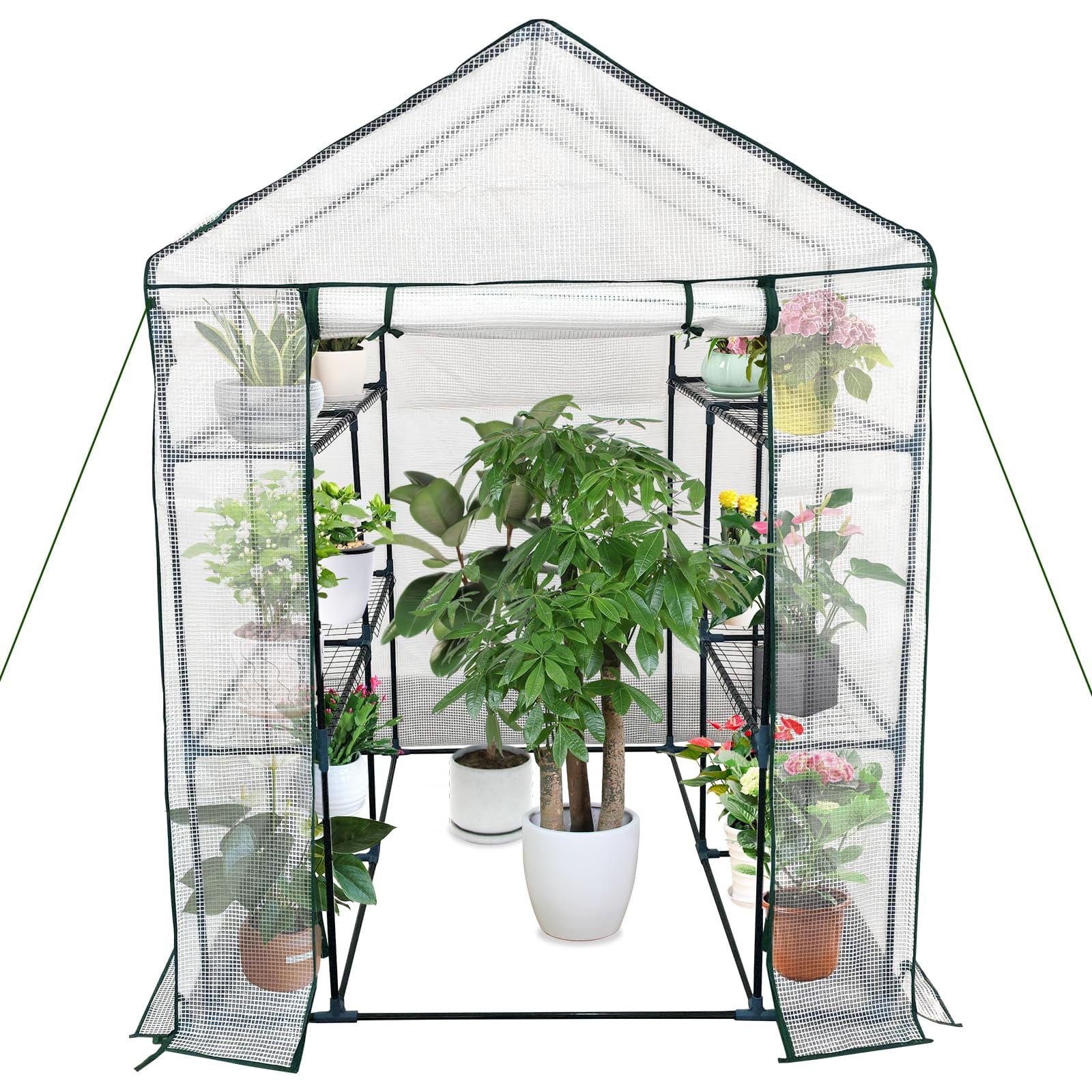 Kselythan Greenhouse for Outdoors,57 x 57 x 76'' Portable Green House w ...