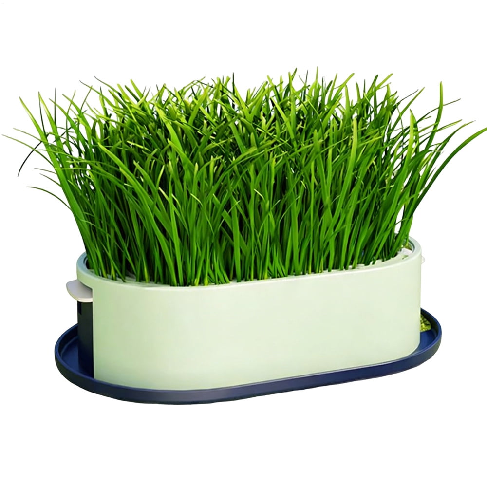 Ksruee Cat Grass Planter Hydroponics Planting Container Cat Grass ...