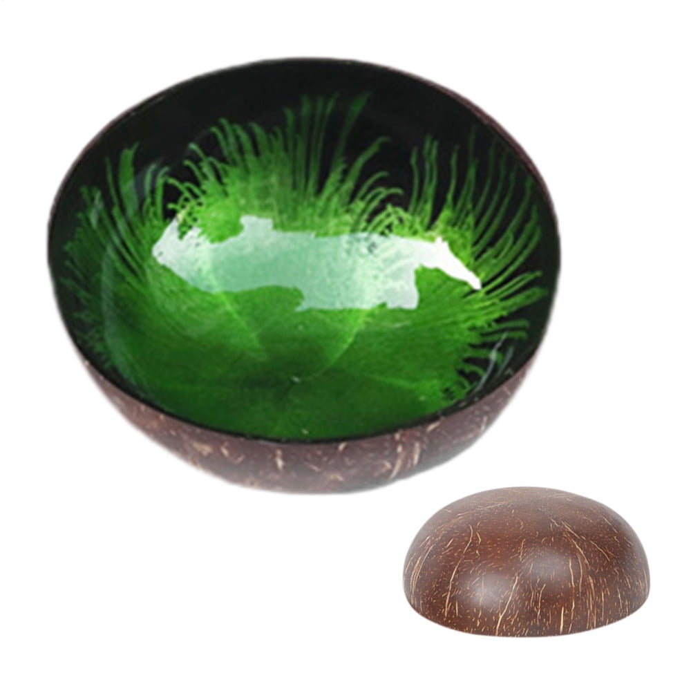 Ksruee Coconut Serving Bowl Uniquely Colored Smoothie Bowl Salad Bowls ...