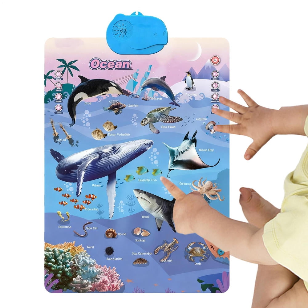 Ksruee Kids Educational Posters English Learning Toy Interactive Wall ...