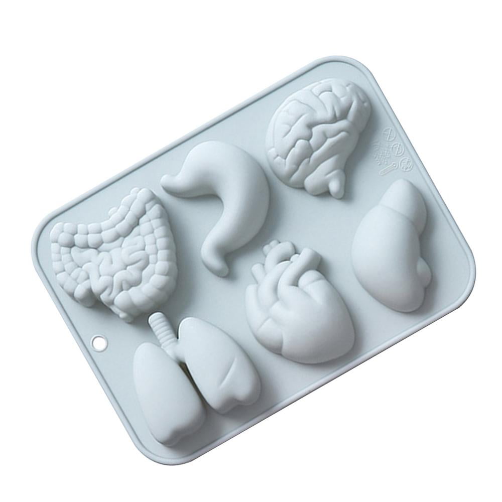 Ksruee Organ Shaped Molds Heart Brain Stomach Liver Intestinal Lung ...