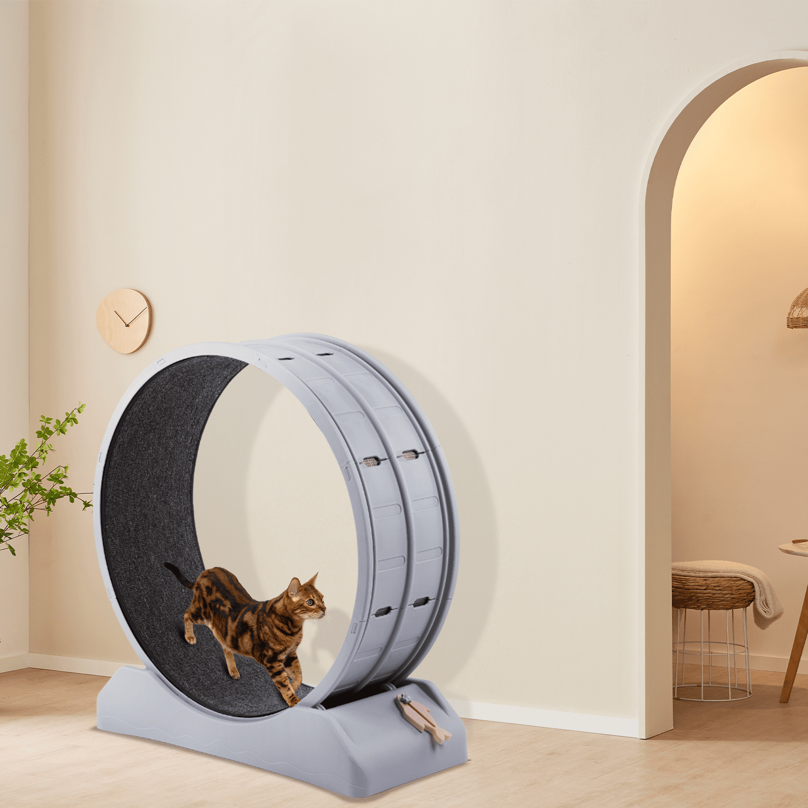 Ktaxon 30'' Cat Treadmill Exercise Running Wheel for Fitness Weight ...