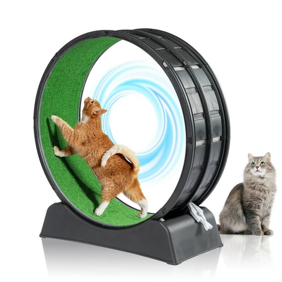 TAKOYI 41" Cat Exercise Wheel for Indoor Cats, Cat Running Wheel with ...