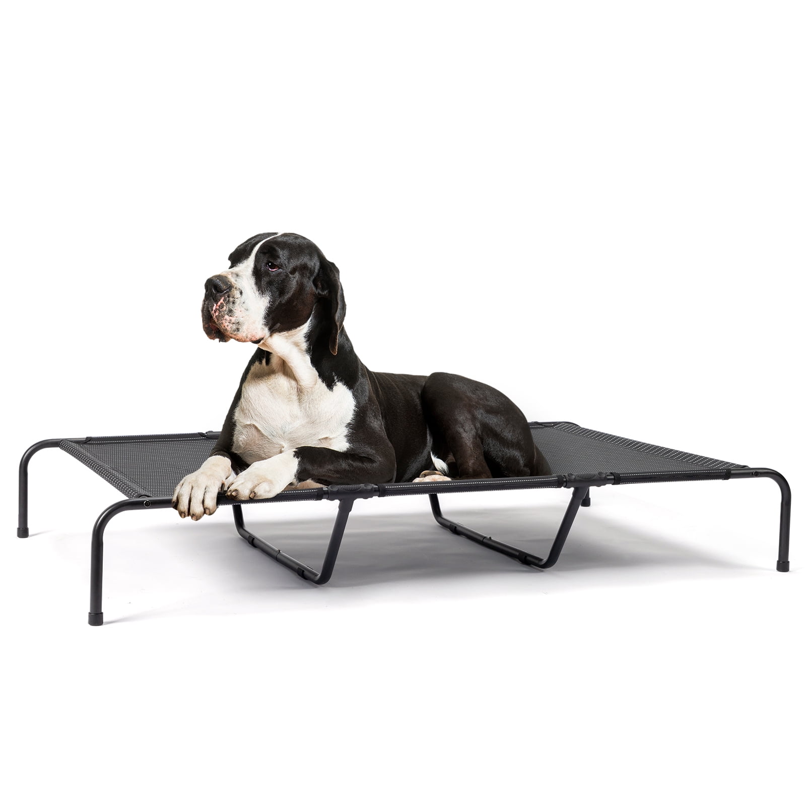 Ktaxon 60"D x 37"W Elevated Raised Cooling Cots Bed for Large Dogs ...