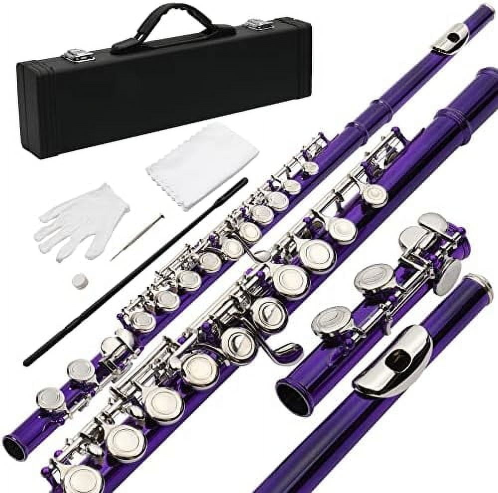 Ktaxon C Closed Hole Flute 16 Keys Flutes Kit for Students ...