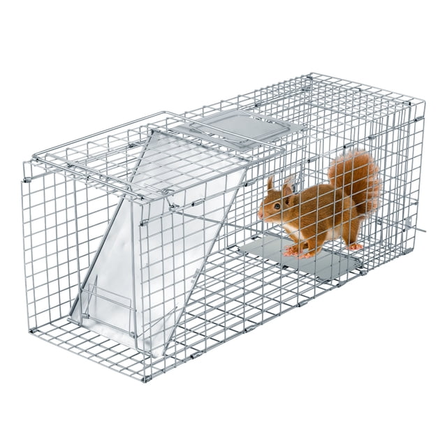 Ktaxon Animal Trap, Steel Cage for Squirrel & Raccoon Control, Safe ...