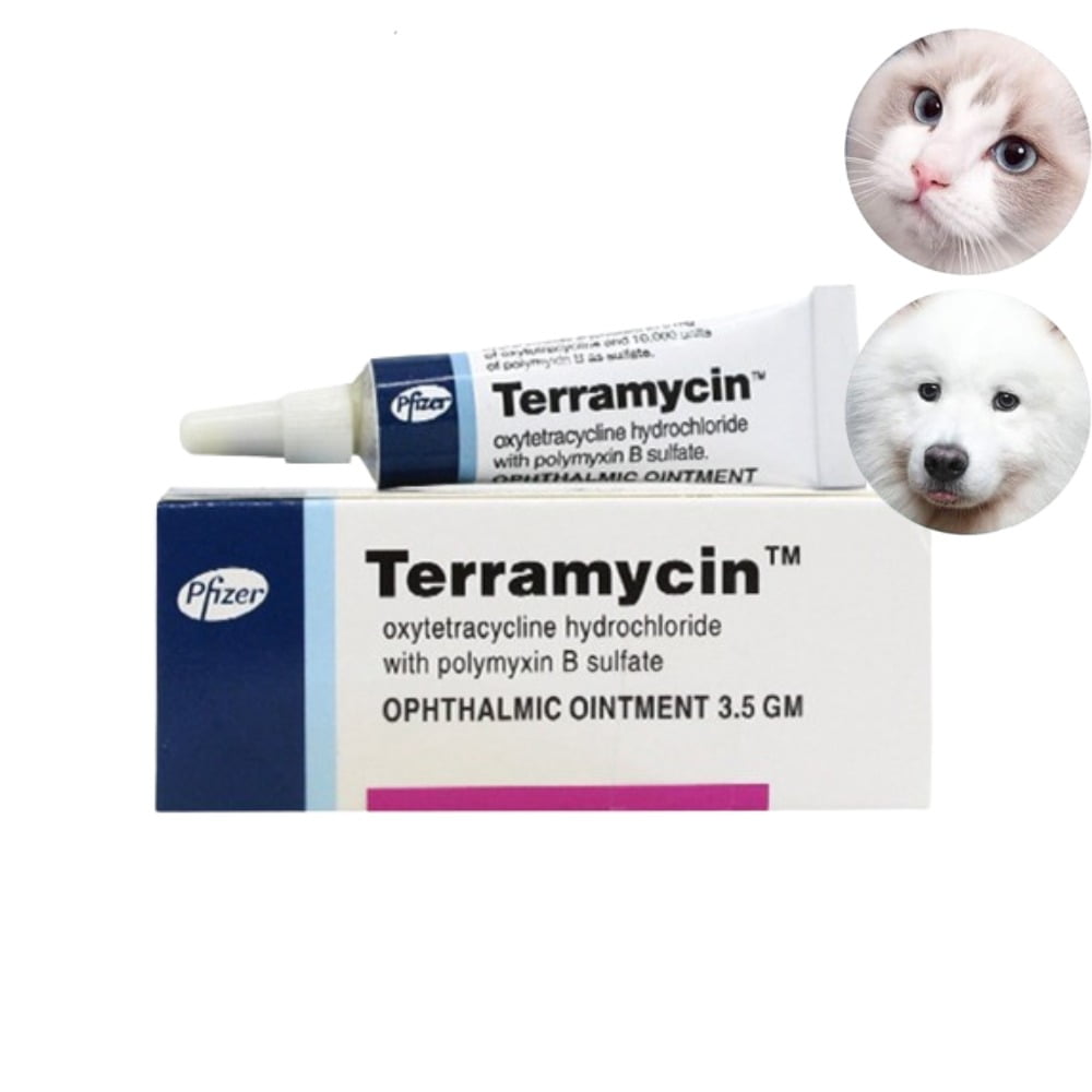 Ktlvex Pet Eye Healer Gel - Terramycin Infused, Quickly Alleviates Eye ...