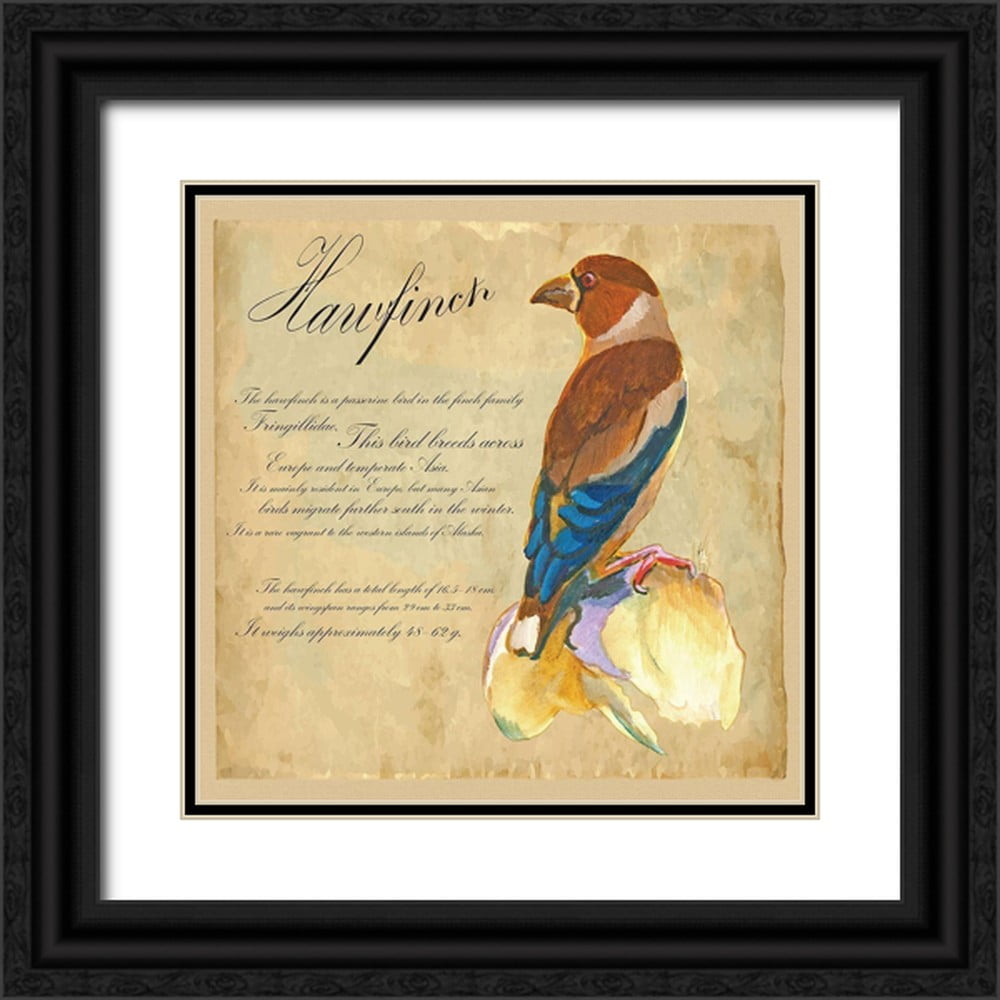 Kuco 26x26 Black Ornate Wood Framed with Double Matting Museum Art ...