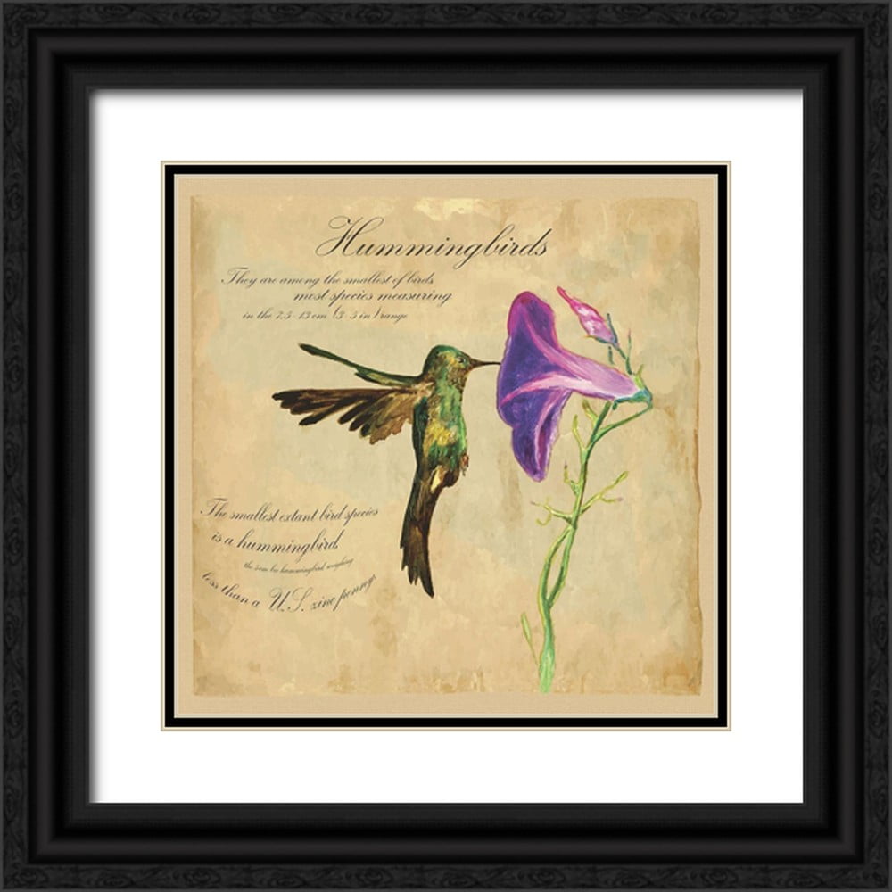 Kuco 26x26 Black Ornate Wood Framed with Double Matting Museum Art Print Titled - Hummingbird ...