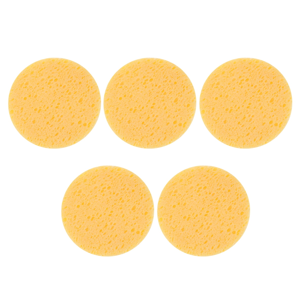 Circle Sponge