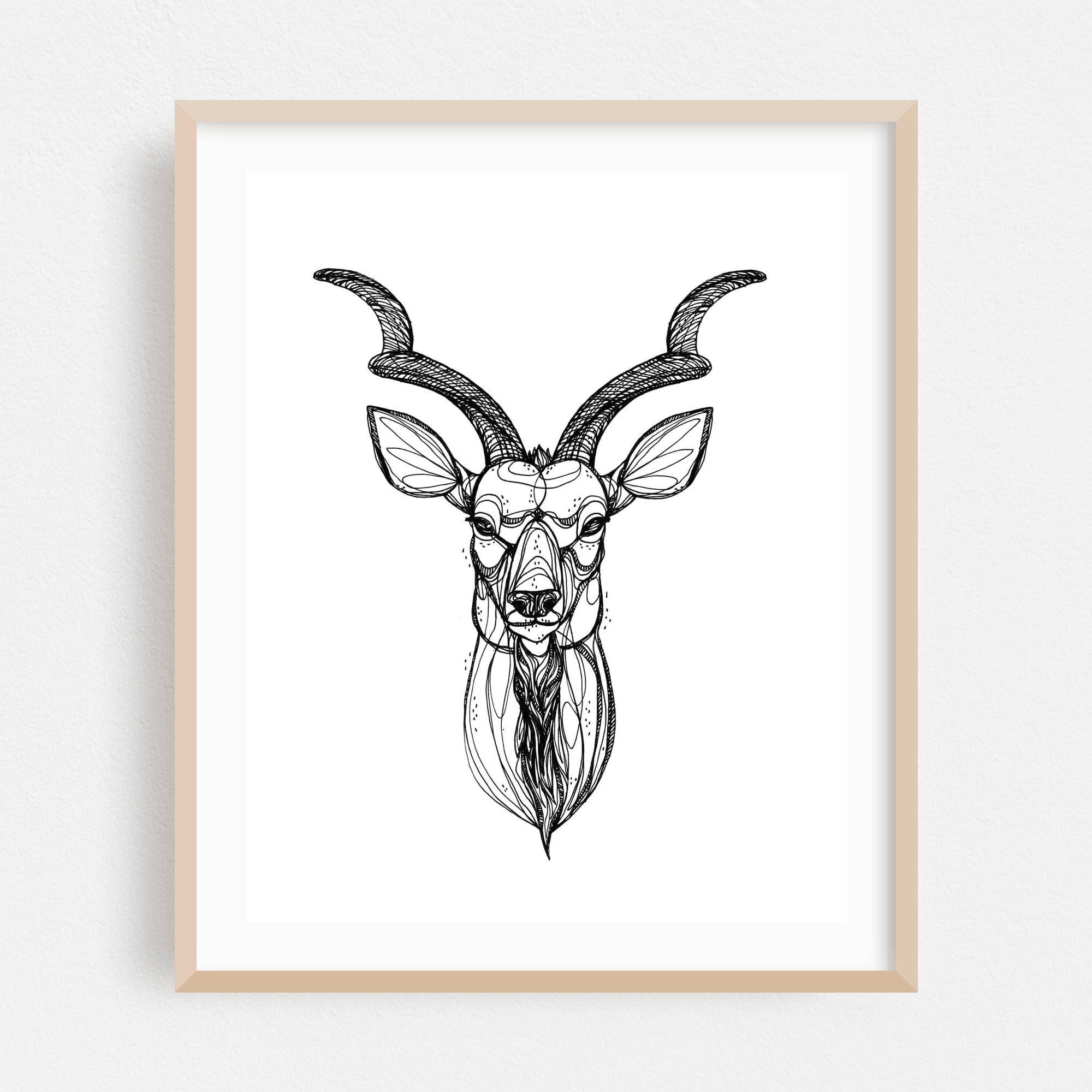 Kudu - Drawing Line Art Deer Wildlife Black and White Animal ...