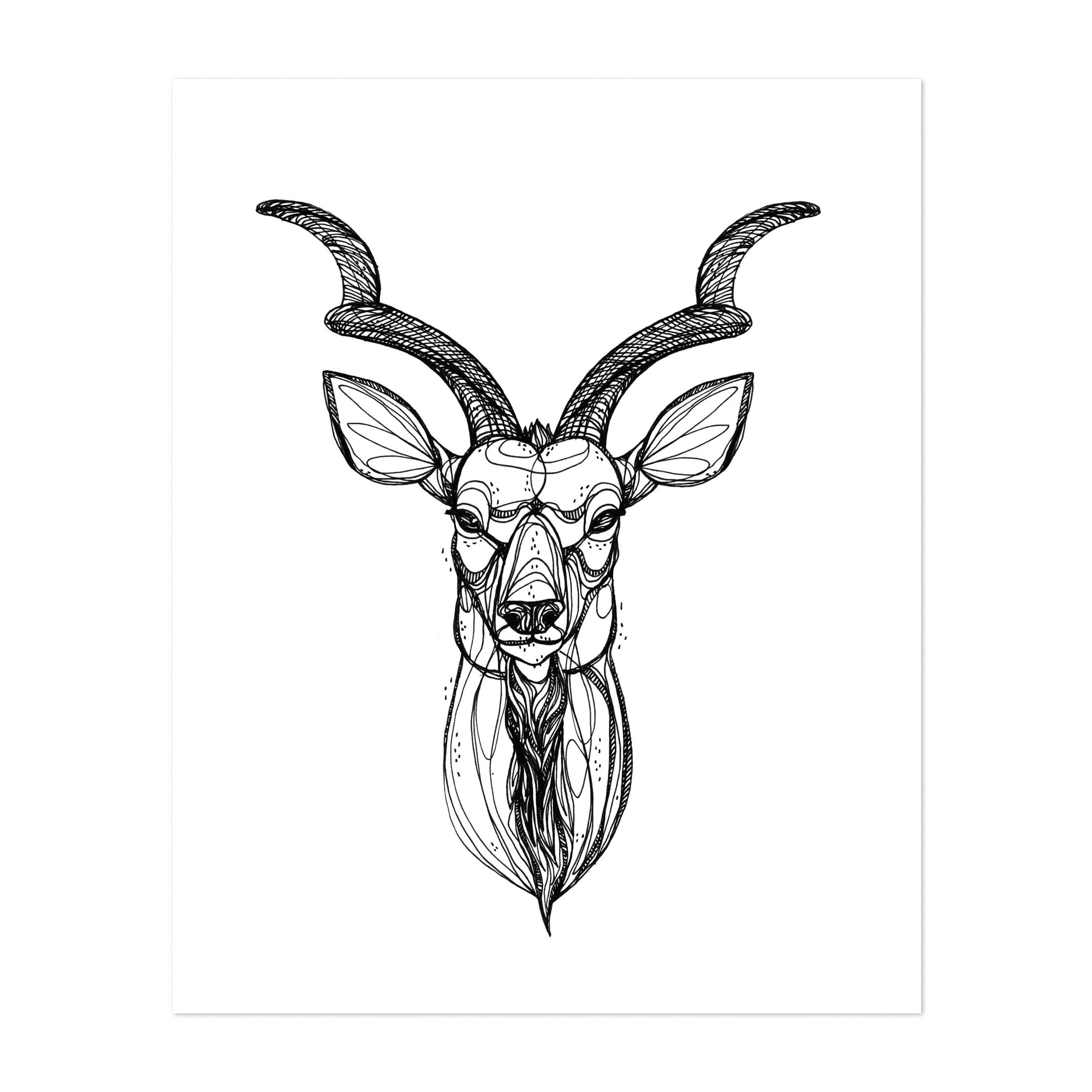 Kudu - Drawing Line Art Deer Wildlife Black and White Animal ...