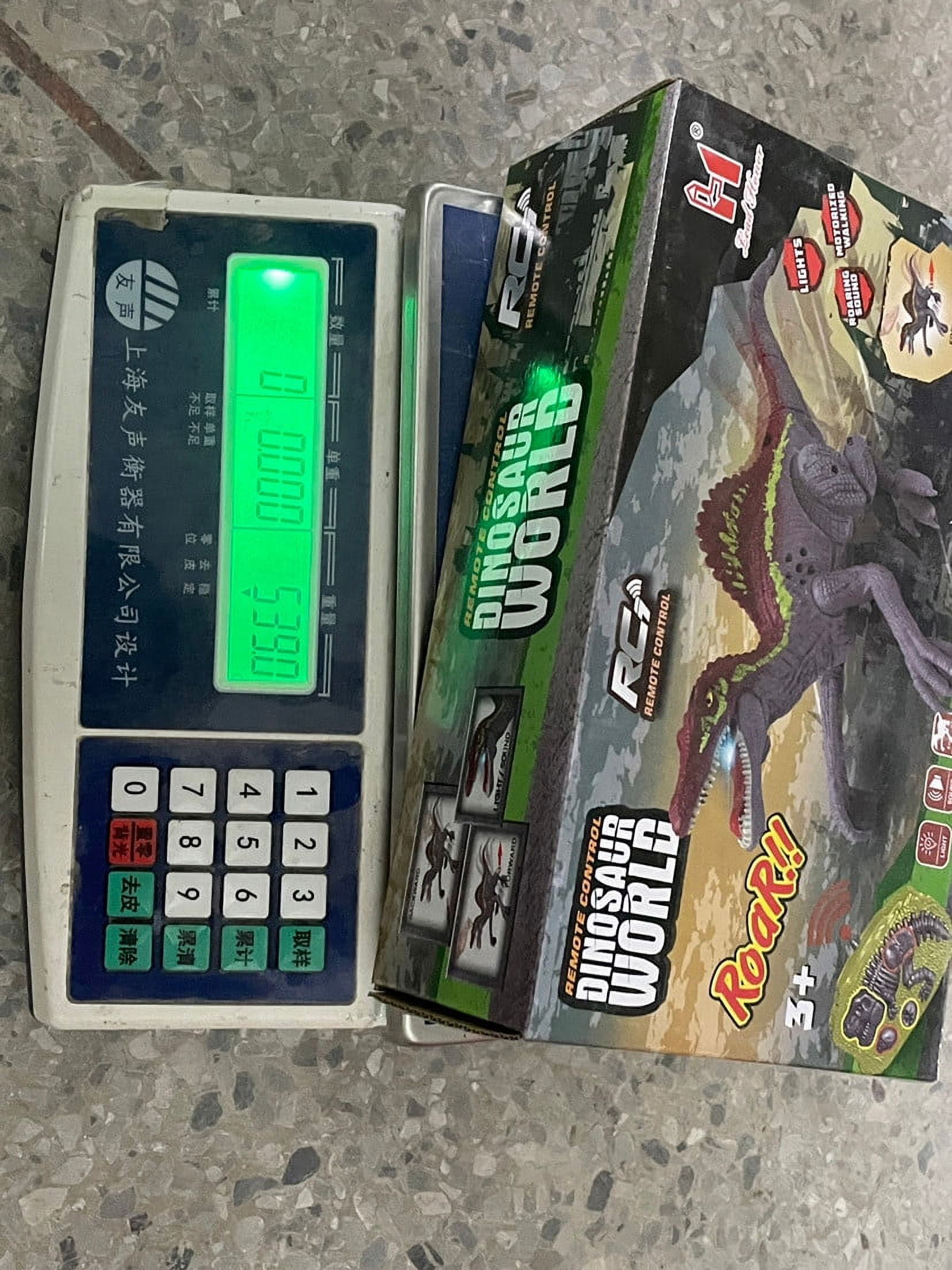 Kugachren Clearance Remote Control Dinosaur Toys for Kids, Large Robot ...