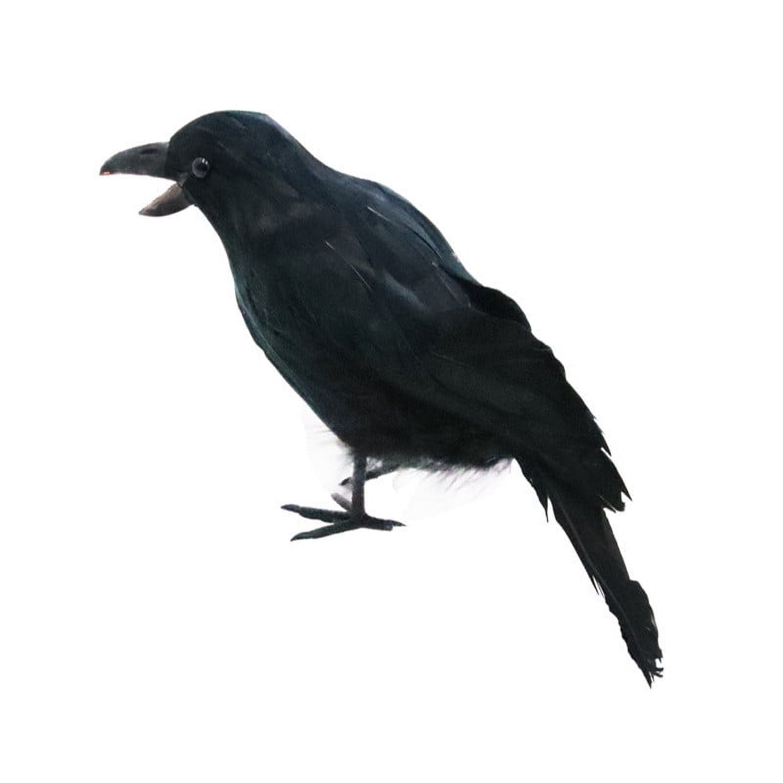 Kumdkd 12" Realistic Feathered Crow Halloween Decor - Lifelike ...