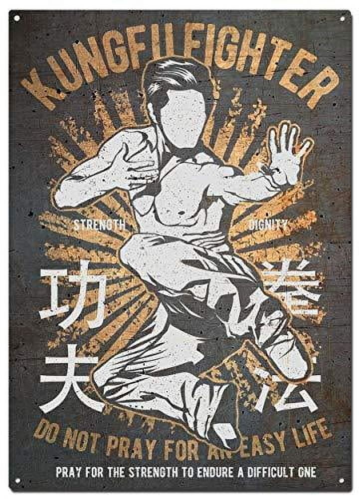 Kung Fu Fighter Metal Tin Signs, Martial Arts Colorfast Posters ...