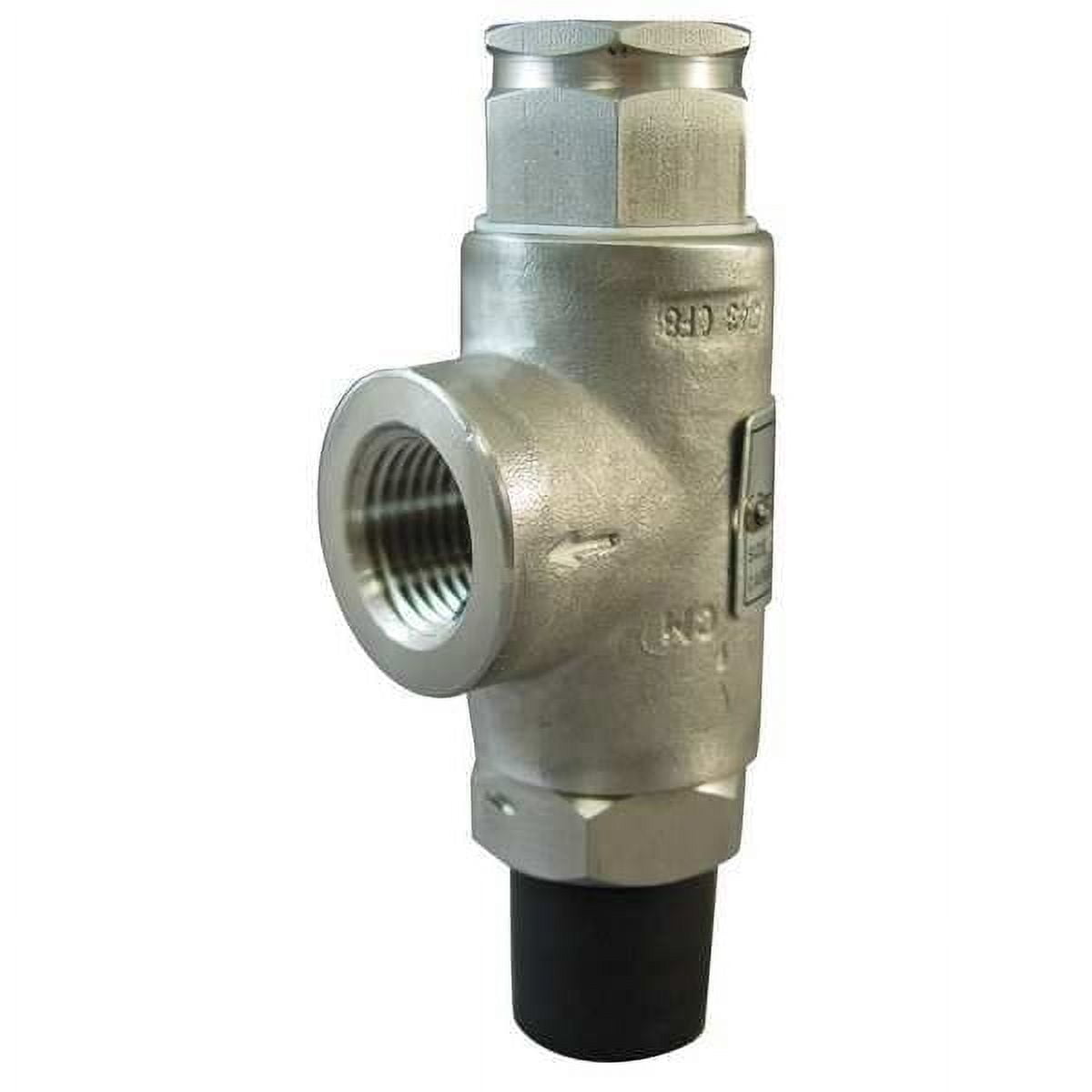 Kunkle Valve Safety Relief Valve,1/2 In,300 psi,SS 0140-C01-ME0300 ...