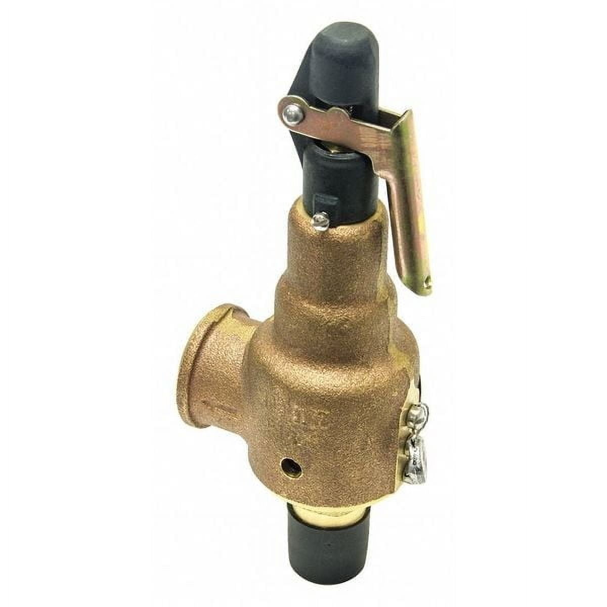 Kunkle Valve Safety Relief Valve,1in.x1-1/4in.,200psi 6010FEM01AKM0200 ...