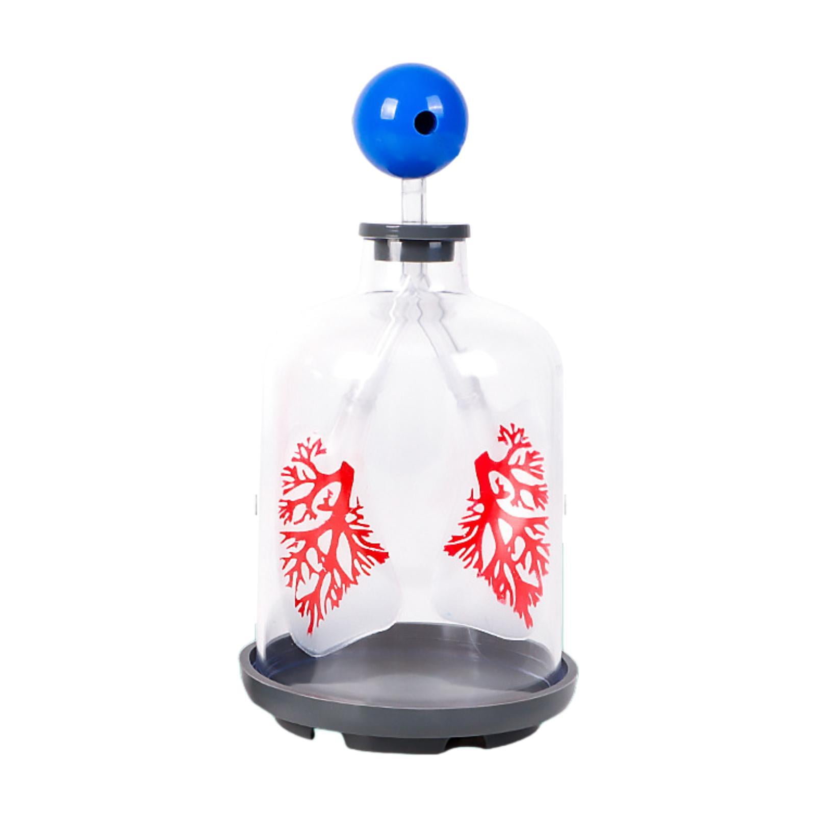 Kuntesetty Human Lung Simulator Model -Interactive Breathing for ...