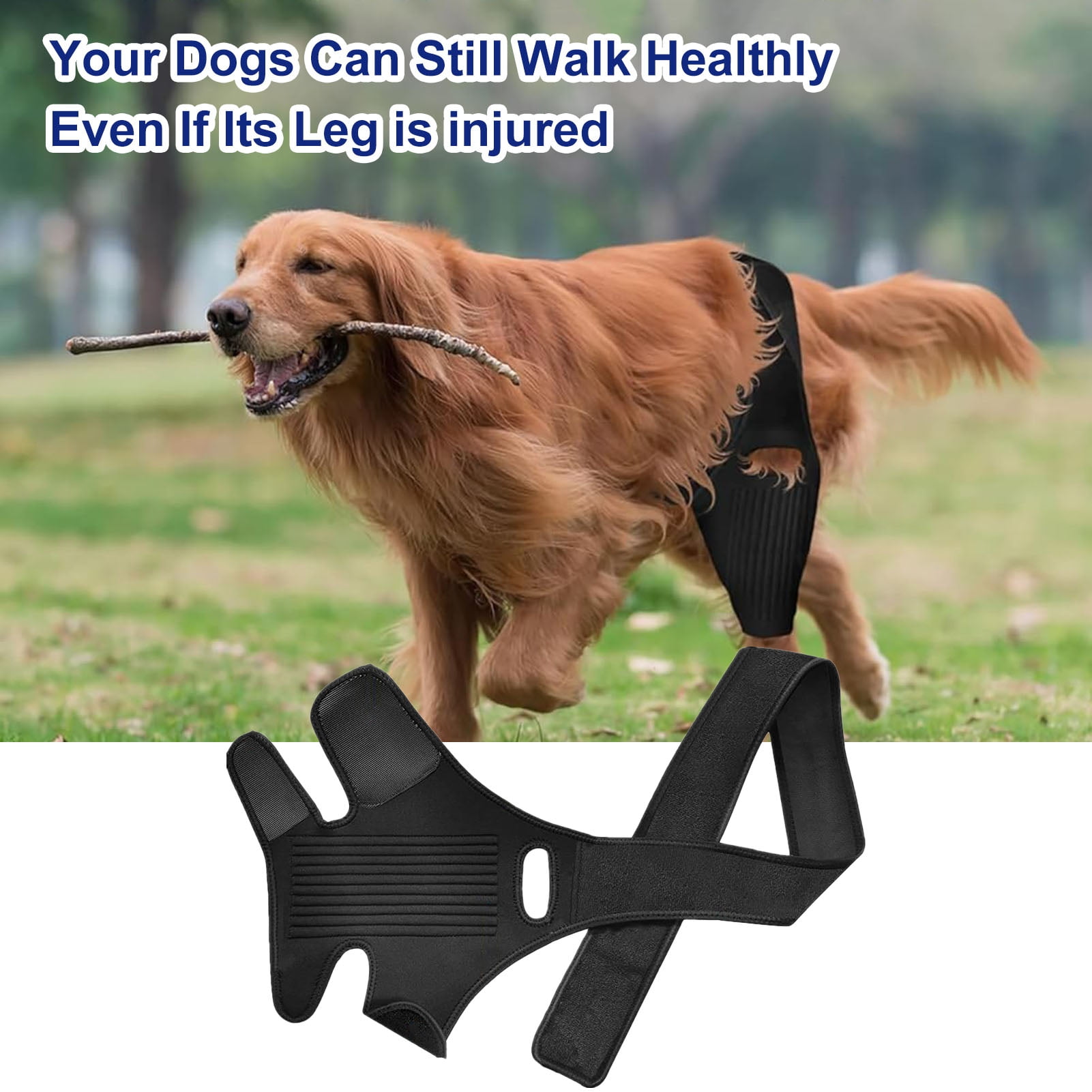 Kuorak Pet Recovery Belt Dog Leg Brace Protective Dog Knee Hip Brace ...