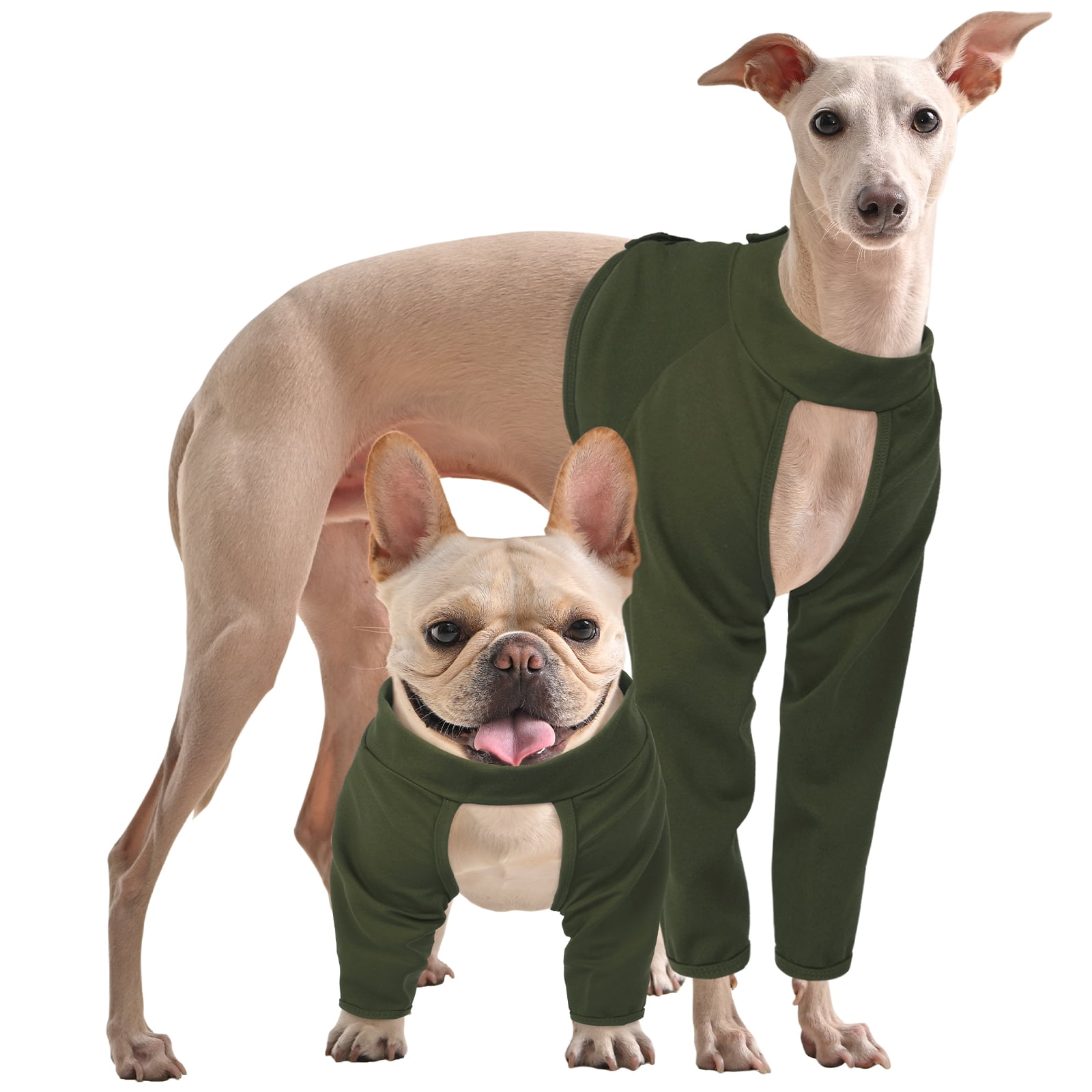 Kuoser Dog Recovery Suit, Surgery Suit for Front Legs, Dog Anti-Lick ...