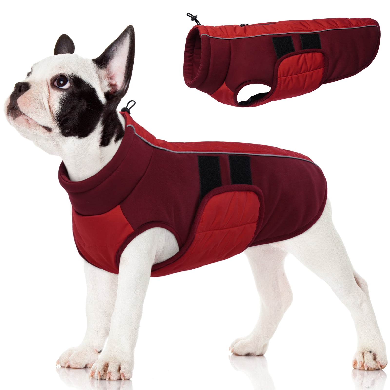 Kuoser Warm Dog Winter Coat Reflective Windproof Jacket for Dogs, Red ...