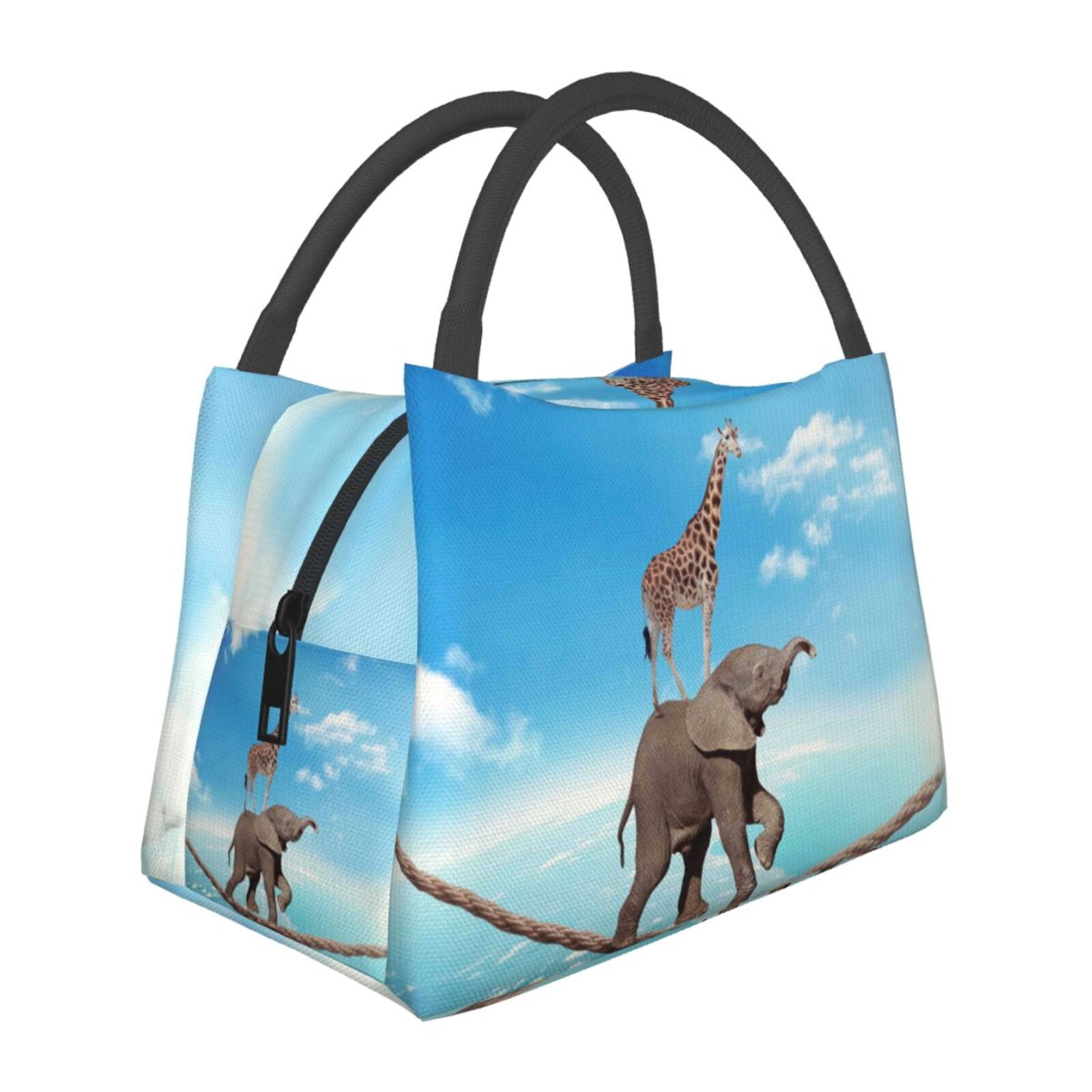 Kuqiui Lunch Bag for Women/Men,Waterproof Reusable Portable Lunch Tote ...