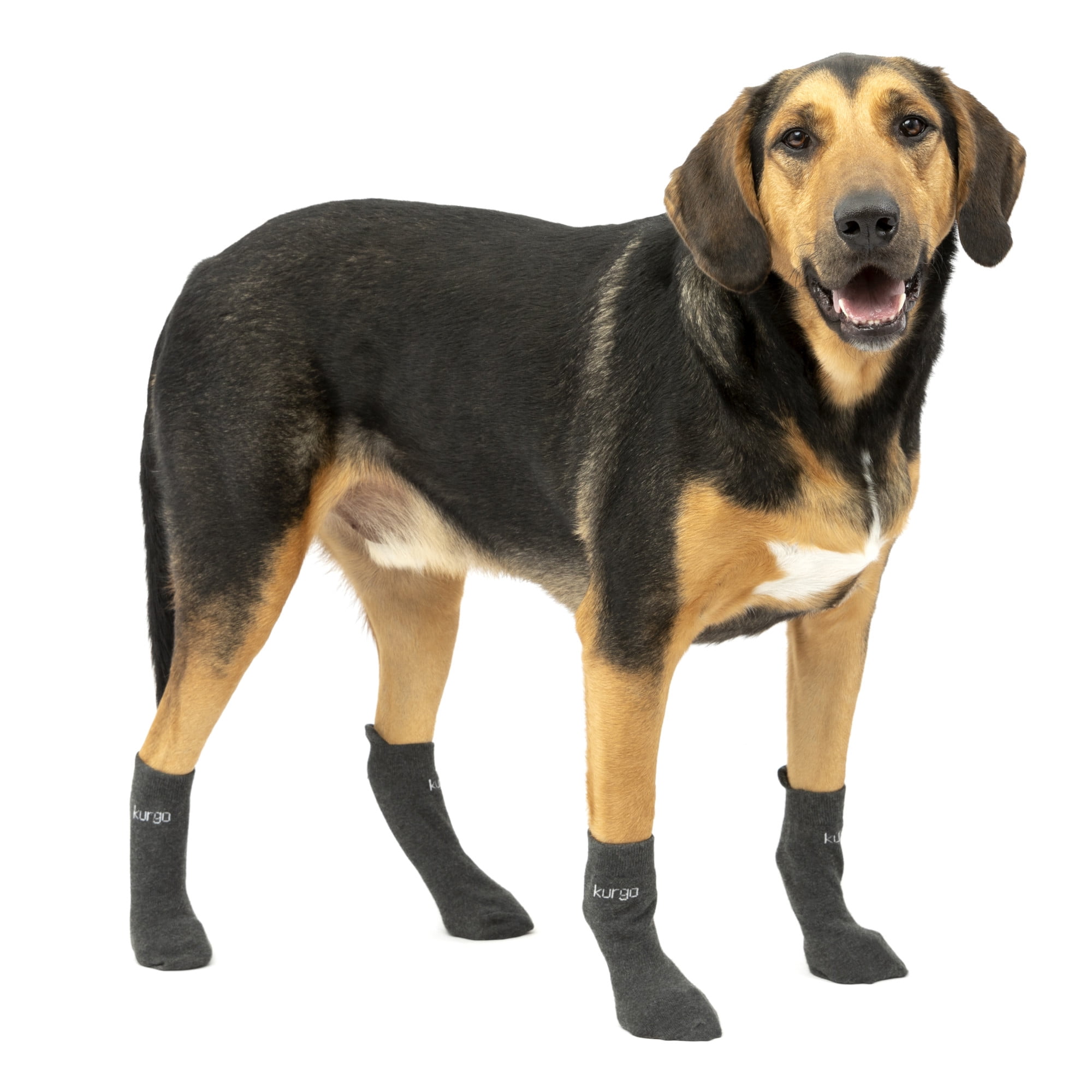 Kurgo Blaze Dog Socks - Stretch Socks for Dog Shoes - Makes Putting On ...