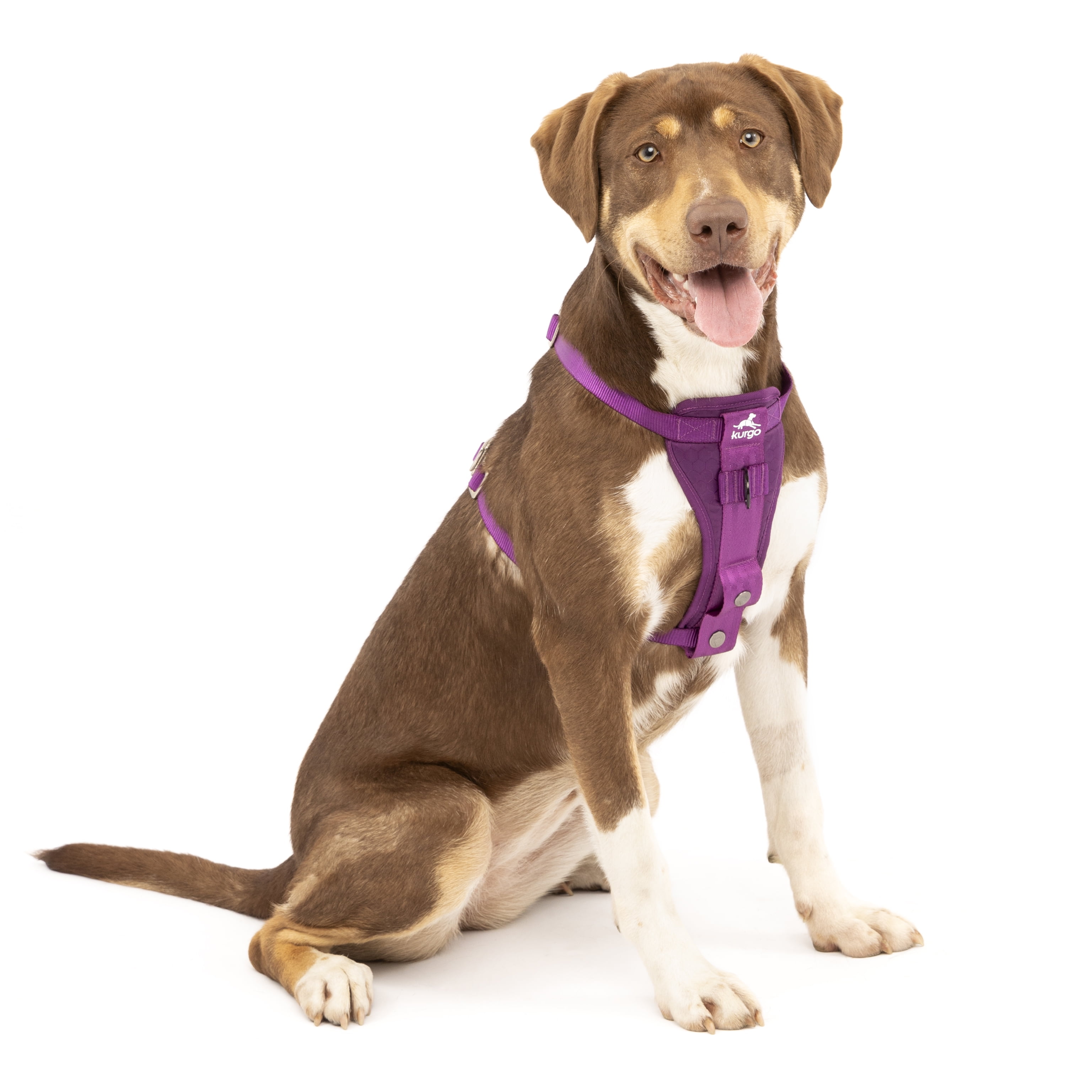 Kurgo Enhanced Strength Tru-Fit Smart Dog Harness, Deep Violet, Medium ...