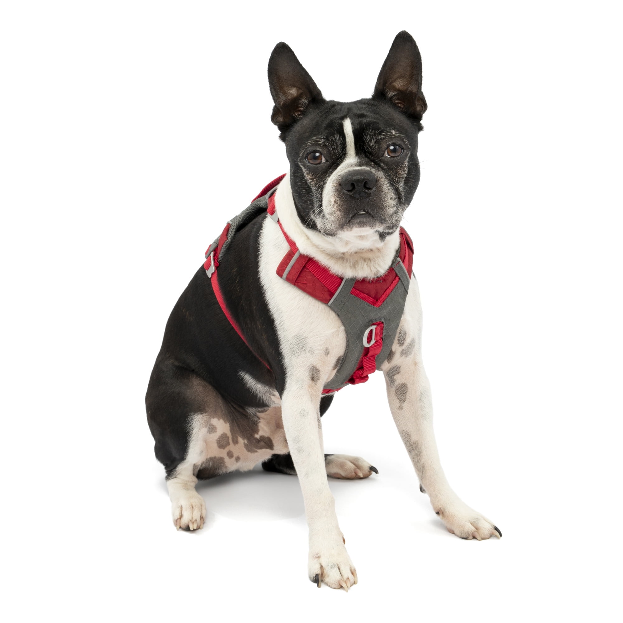 Kurgo Journey Air Dog Harness, Vest Harnesses for Dogs, Pet Hiking ...