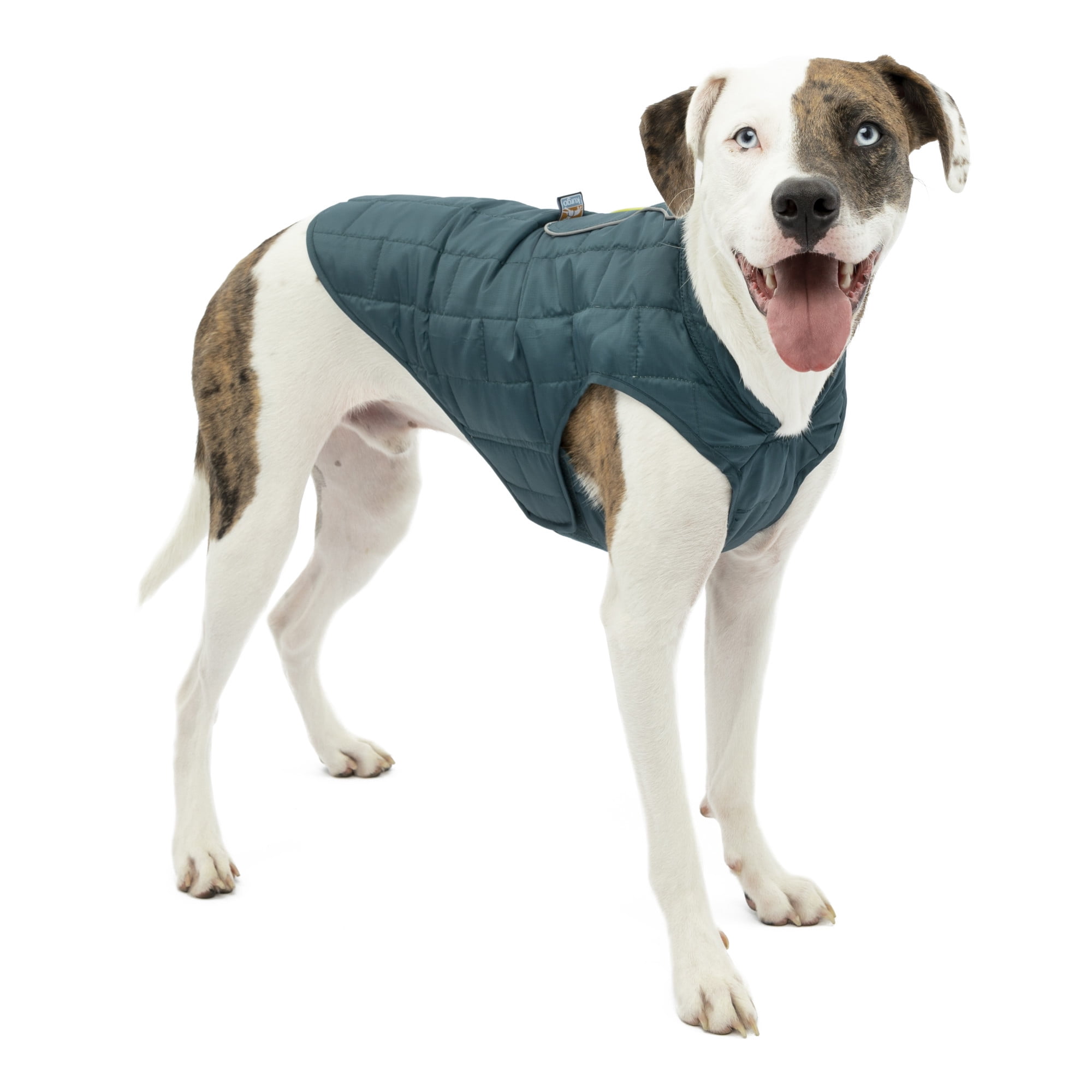 Kurgo Loft Dog Jacket, Reversible, Wear with Harness or Sweater, Water ...