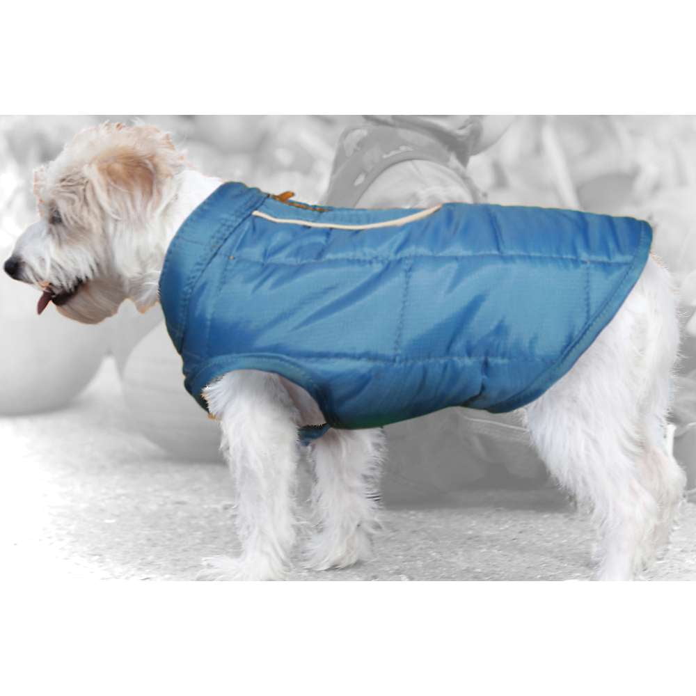 Kurgo Loft Jacket, Waterproof Microtomic Ripstop, Dog Coat, Black ...