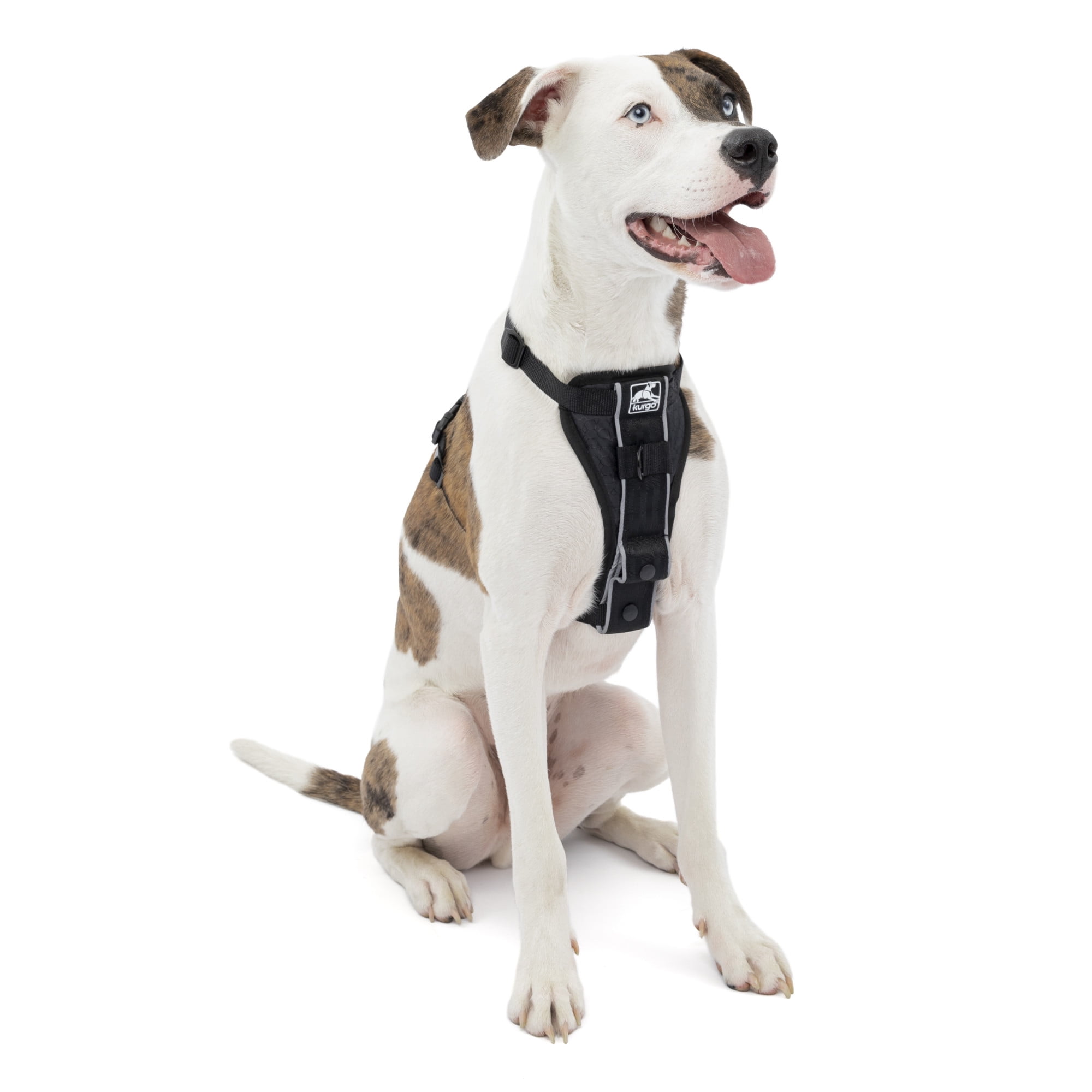 Kurgo Tru-Fit Smart Harness, Dog Harness, Pet Walking Harness, Quick ...