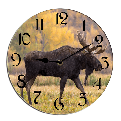 Kurmntregon Alaskan Moose Field With Yellow Trees Wall Clock Wildlife ...