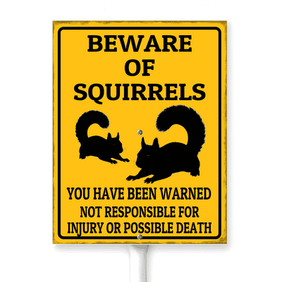 Kurmntregon Beware Of Squirrels Yard Sign With Stake Squirrels Crossing ...