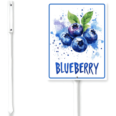 Kurmntregon Blueberry Garden Sign With Stake Vegetables Fruit Plant ...