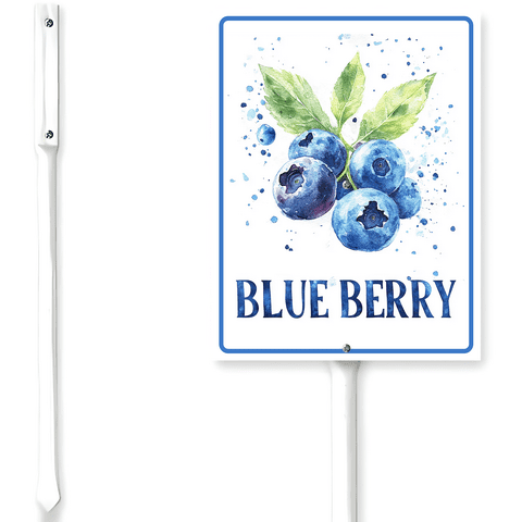 Kurmntregon Blueberry Garden Sign With Stake Vegetables Fruits Plants ...