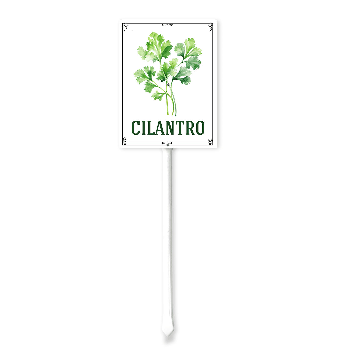 Kurmntregon Cilantro Sign With Stake Vegetable Garden Sign For Yard ...