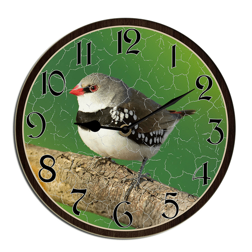 Kurmntregon Diamond Firetail Finch Bird On a Branch Wall Clock Animal ...