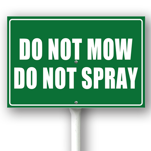 Kurmntregon Do Not Mow Do Not Spray Yard Sign With Stake No Mow May ...