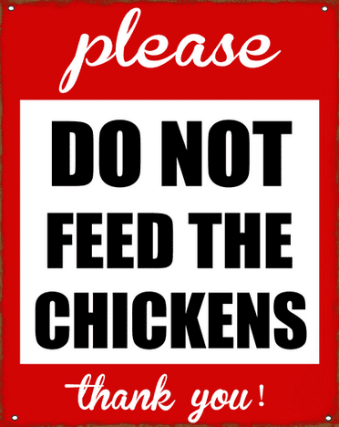 Kurmntregon Do Not Feed The Chickens Aluminum Sign Do Not Feed The ...