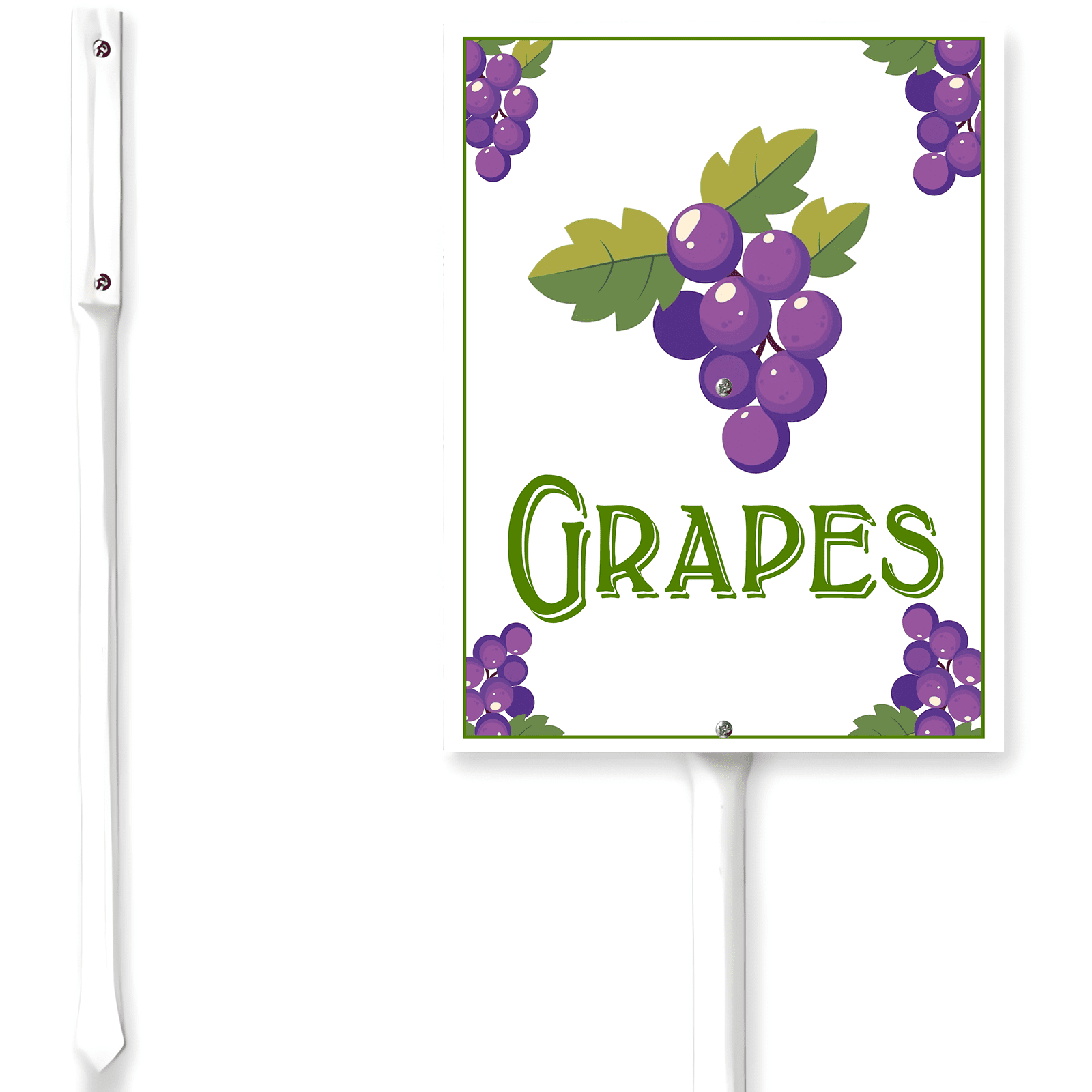 Kurmntregon Garden Signs For Vegetables With Stake Grapes Garden Signs ...