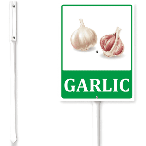 Kurmntregon Garlic Garden Sign With Stake Vegetables Fruit Plant Marker ...