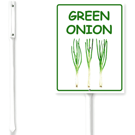 Kurmntregon Green Onion Sign With Stake Vegetable Garden Marker For ...