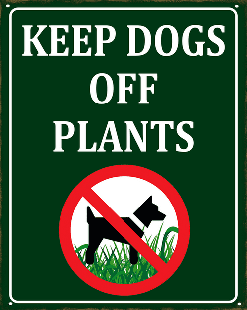 Kurmntregon Keep Dogs Off Plants Aluminum Sign No Trespassing Zoo ...