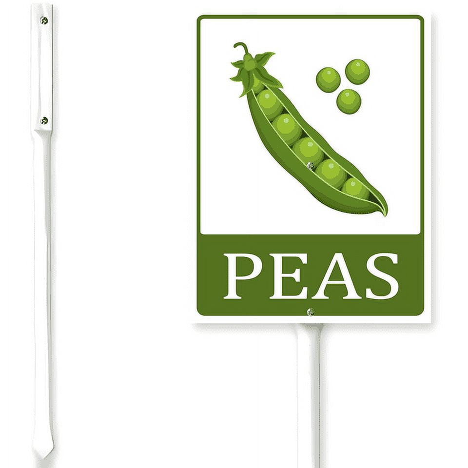 Kurmntregon Peas Garden Sign With Stake Vegetables Fruit Plant Marker ...